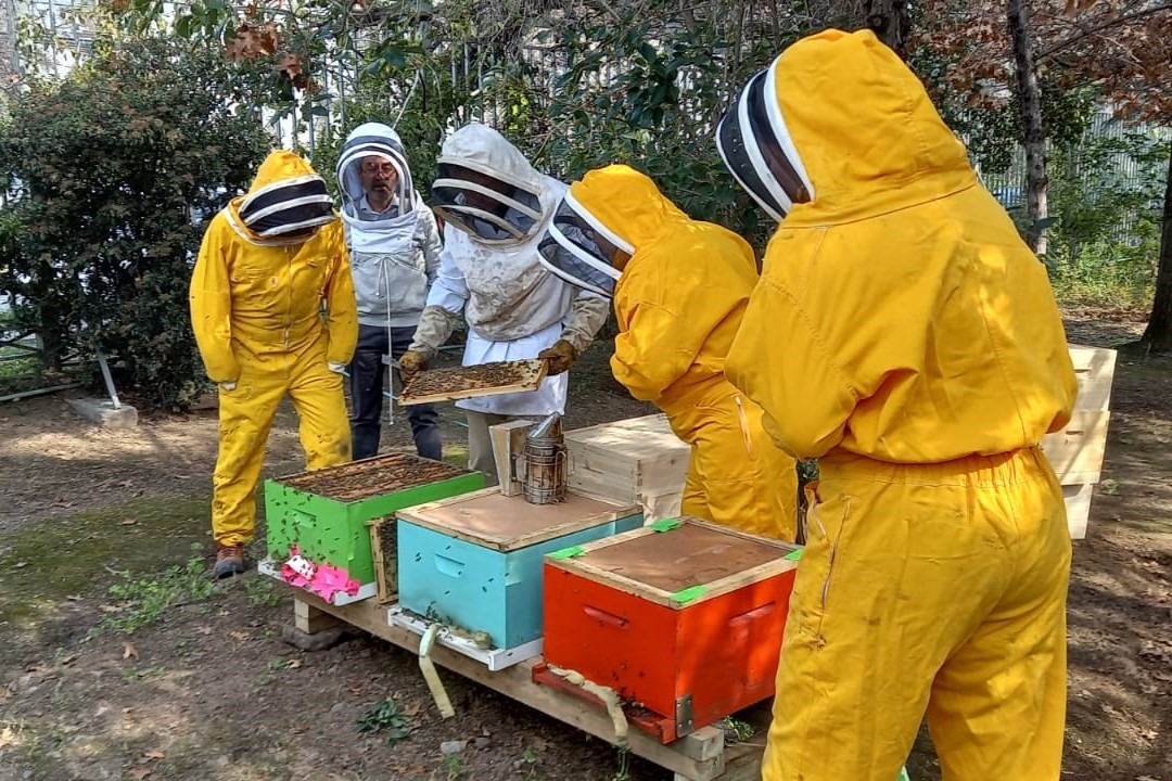 USM Bee Lab llega a Campus Vitacura | DGVM